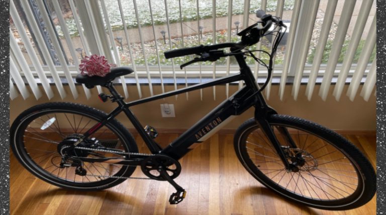 Aventon Pace 500.2 Ebike, Come Cruise With Me! #PerfectHolidayGift!