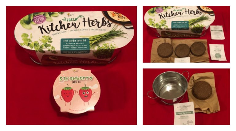 Buzzy Seeds: Seed Grow Kits For Every Occasion, Even Kids Can Grow ...